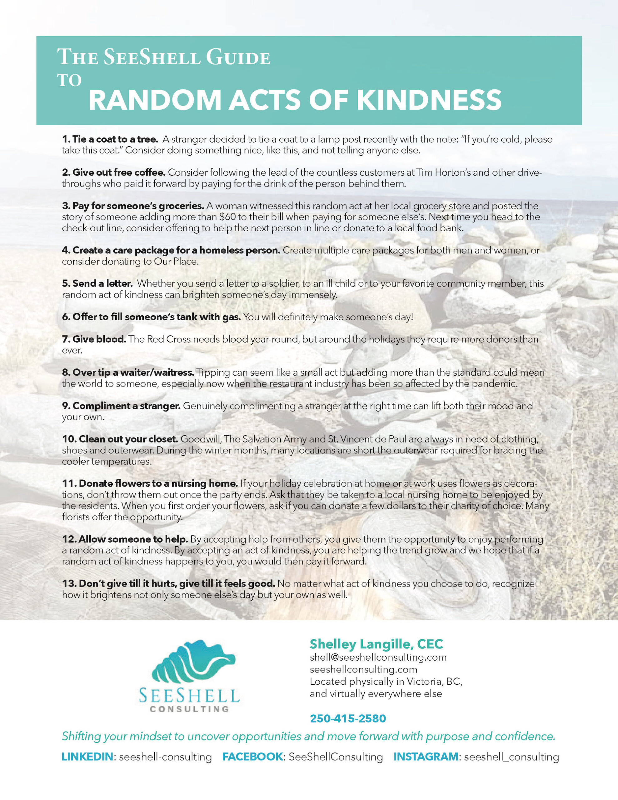 The SeeShell Guides · SeeShell Consulting