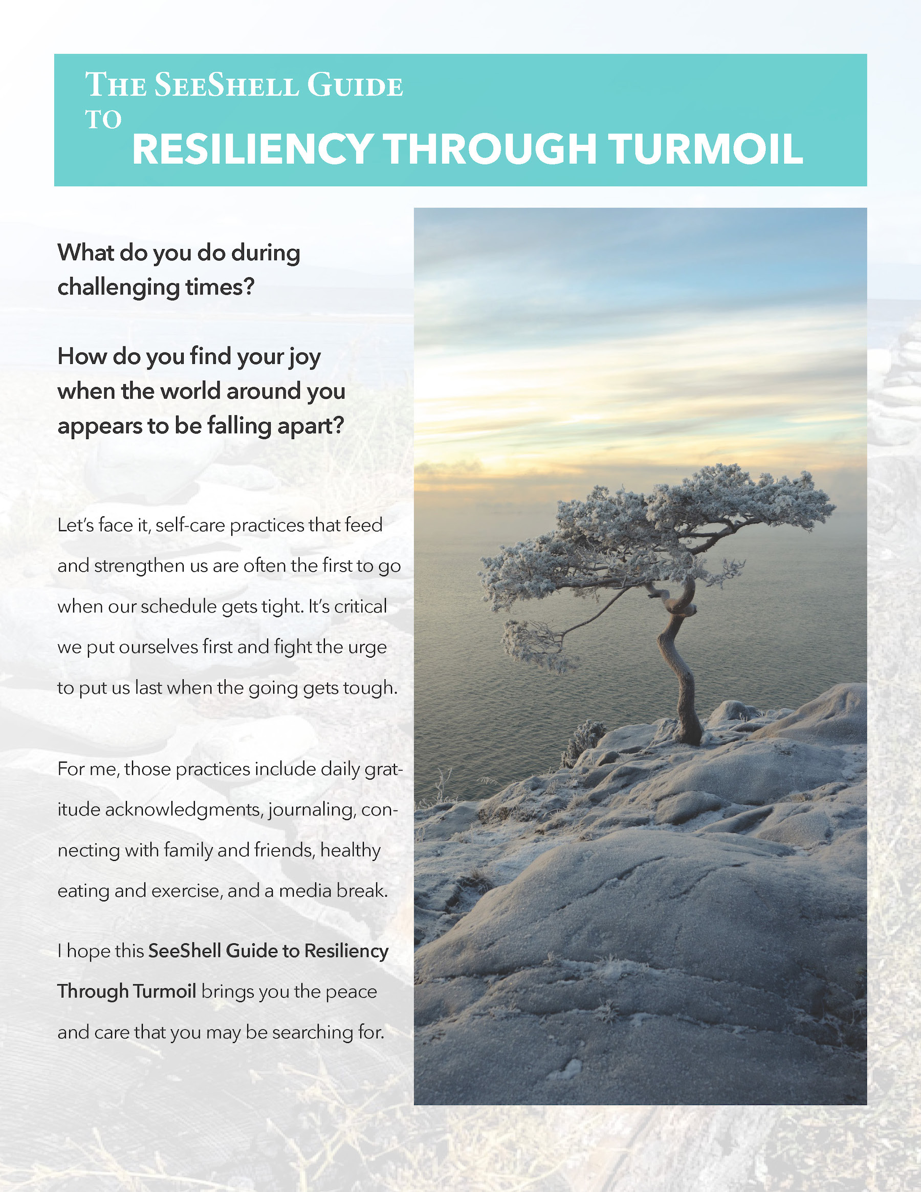 The SeeShell Guides · SeeShell Consulting